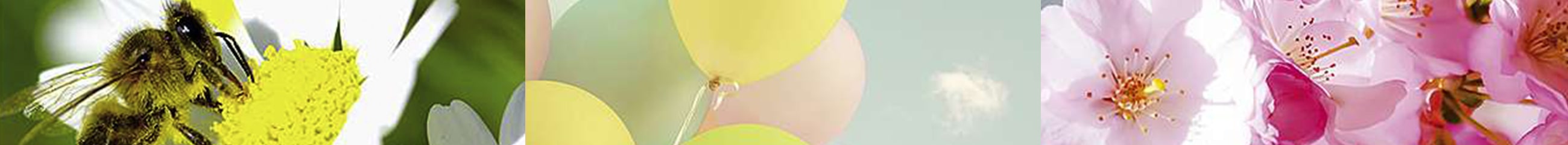 Spring Banners » Beautiful Decorative Banners for Spring
