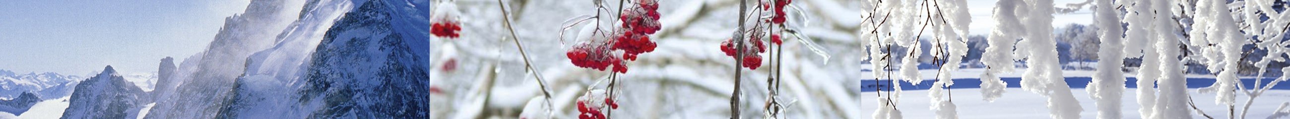 Winter banners » Decorative banners with winter landscapes